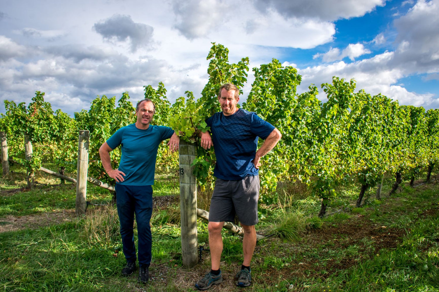 Regenerative Viticulture is the Way of the Future – Blank Canvas Wines